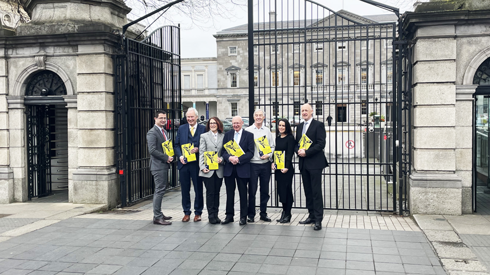 Leading experts reflect on important milestone in transforming Irish ...